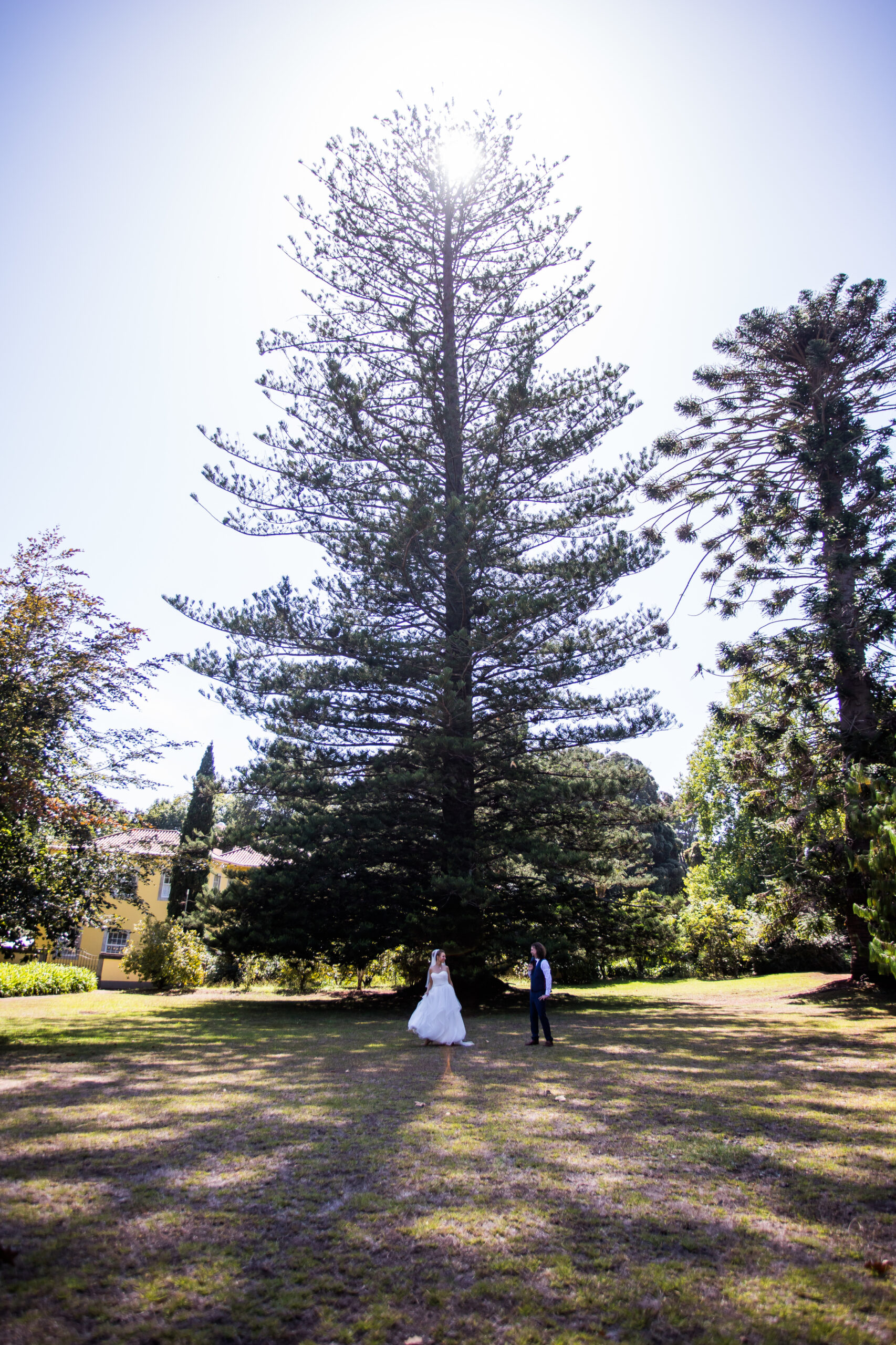 Magical Wedding - Madeira Dream Wedding